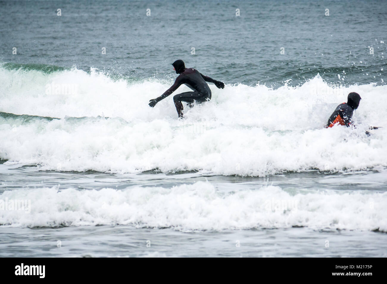 Sandend, Aberdeenshire, Scotland, United Kingdom. Surfers out in cold ...