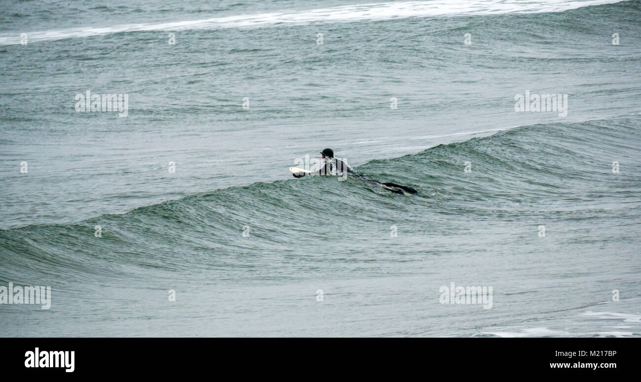 Sandend, Aberdeenshire, Scotland, United Kingdom. A surfer out in cold ...