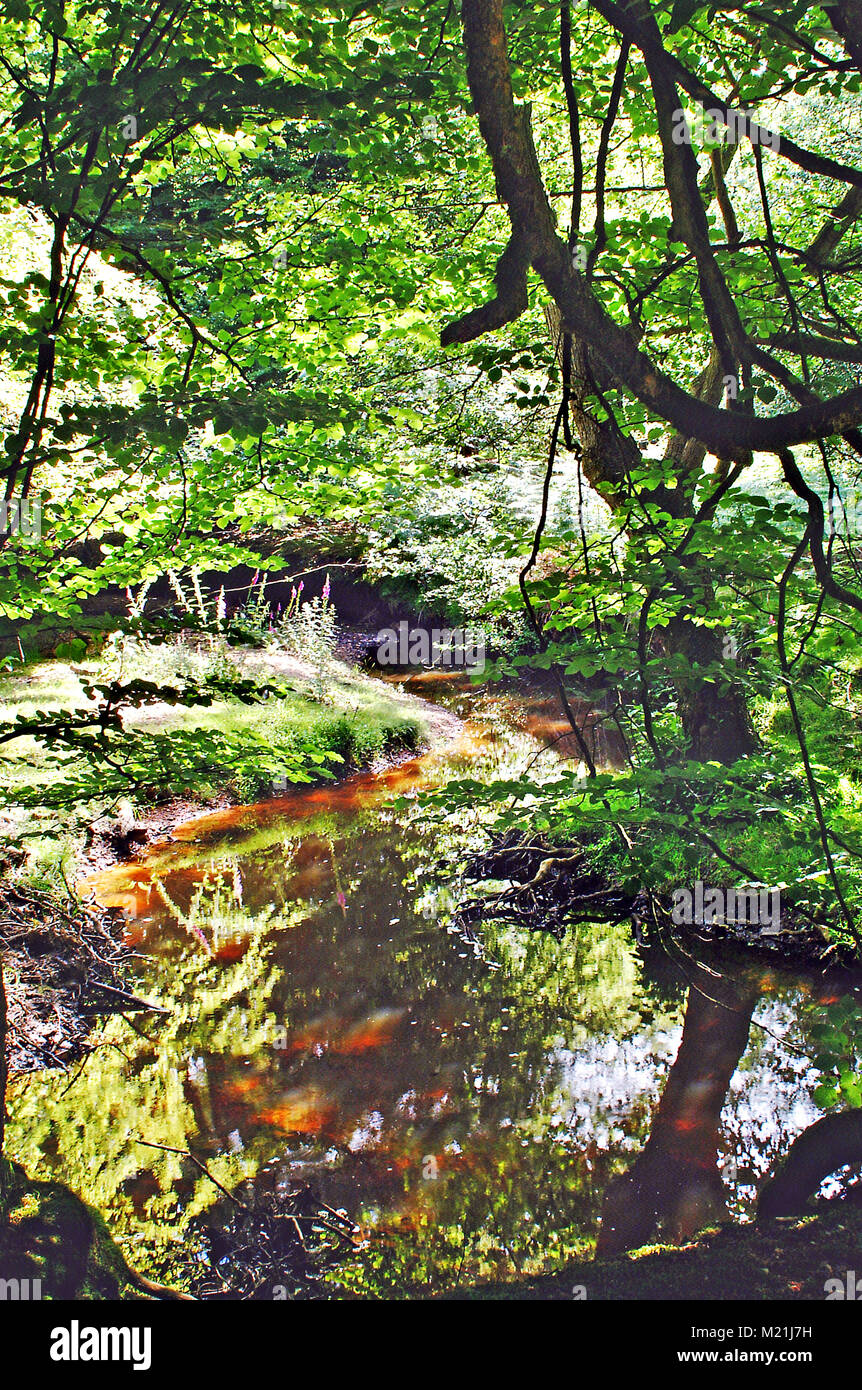 Highland water hampshire hi-res stock photography and images - Alamy