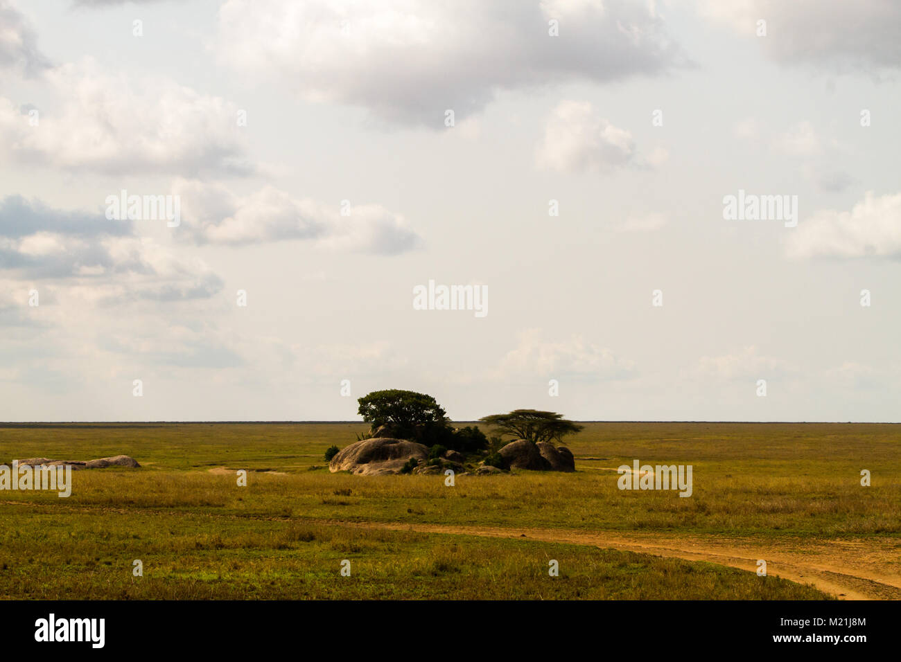 Serengeti National Park, Tanzanian national park in the Serengeti ...