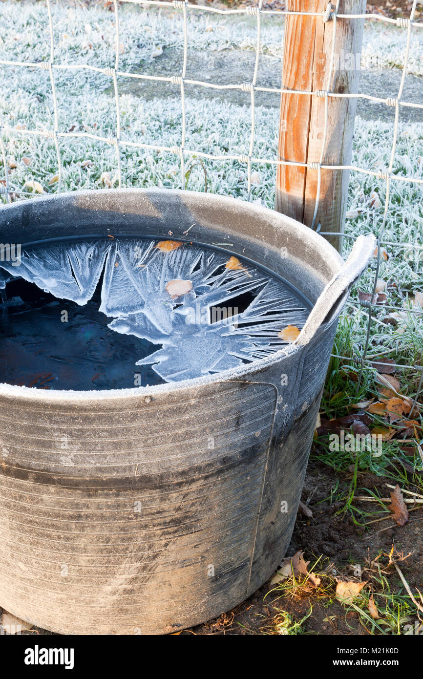 Frosted frozen ice on a paddock water tub Stock Photo - Alamy