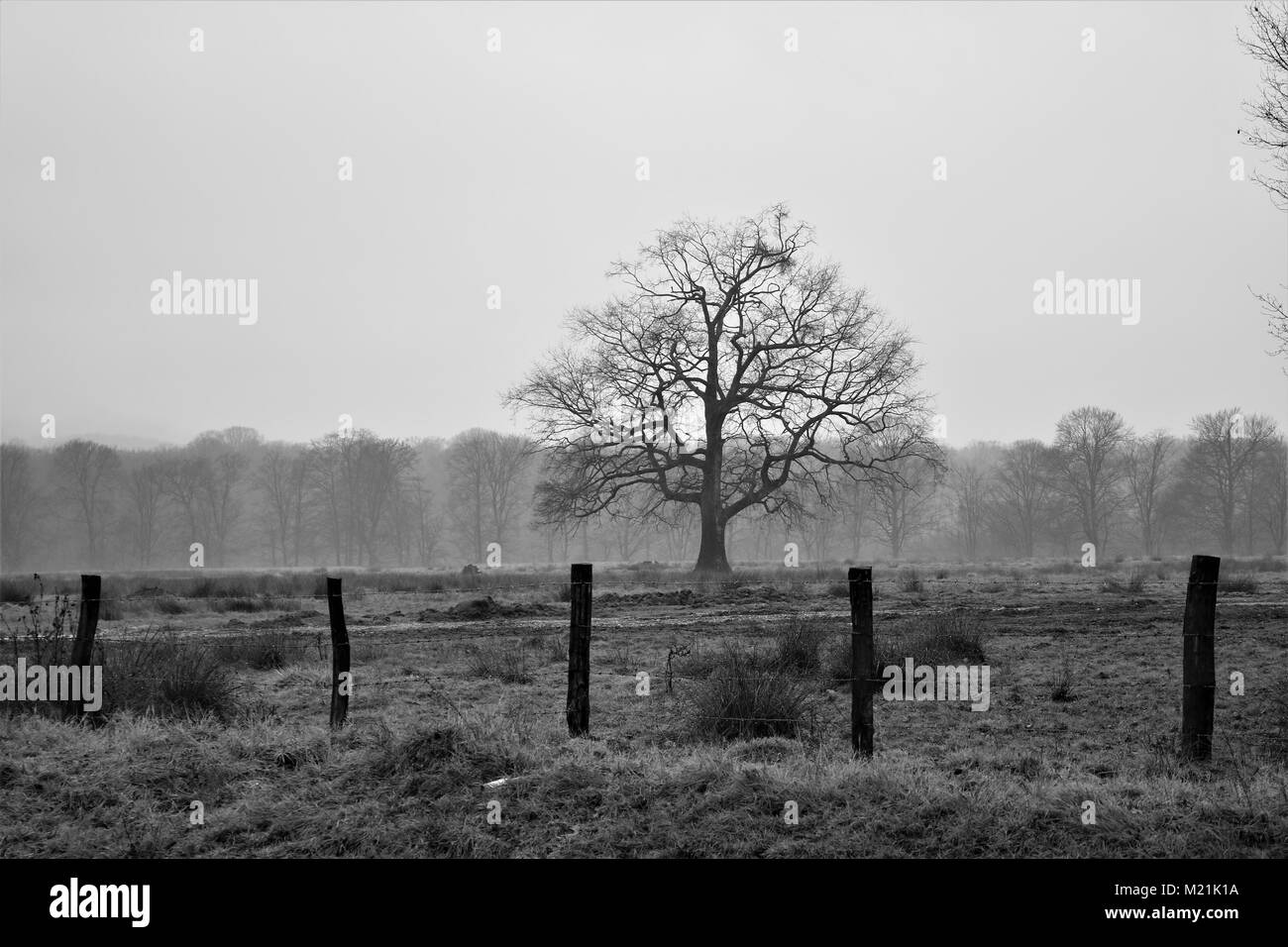 Photo expert Black and White Stock Photos & Images - Alamy