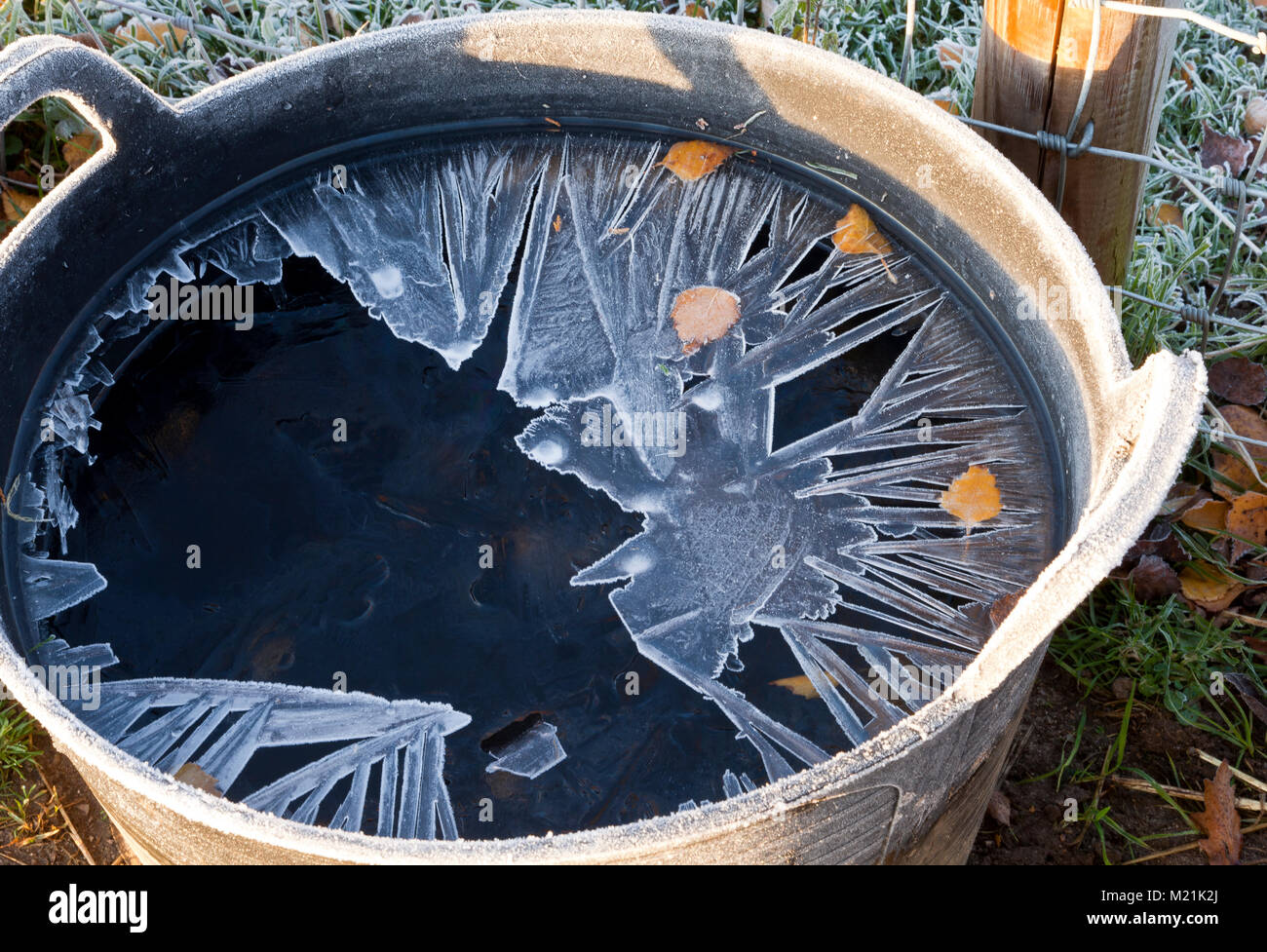Thin layer of frozen water hi-res stock photography and images - Alamy