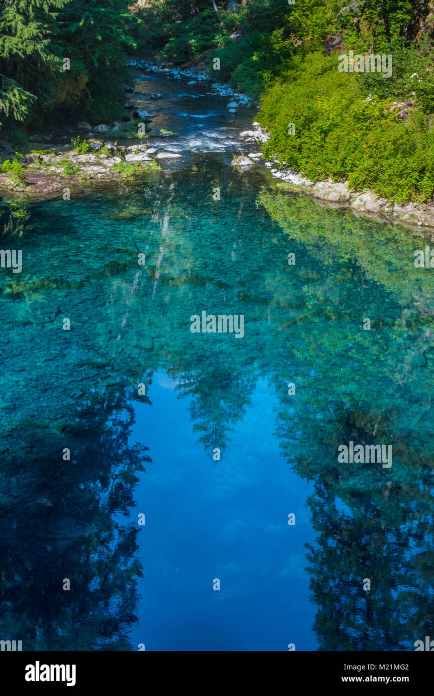 Stream Flows From Blue Pool in Oregon Wilderness Stock Photo - Alamy