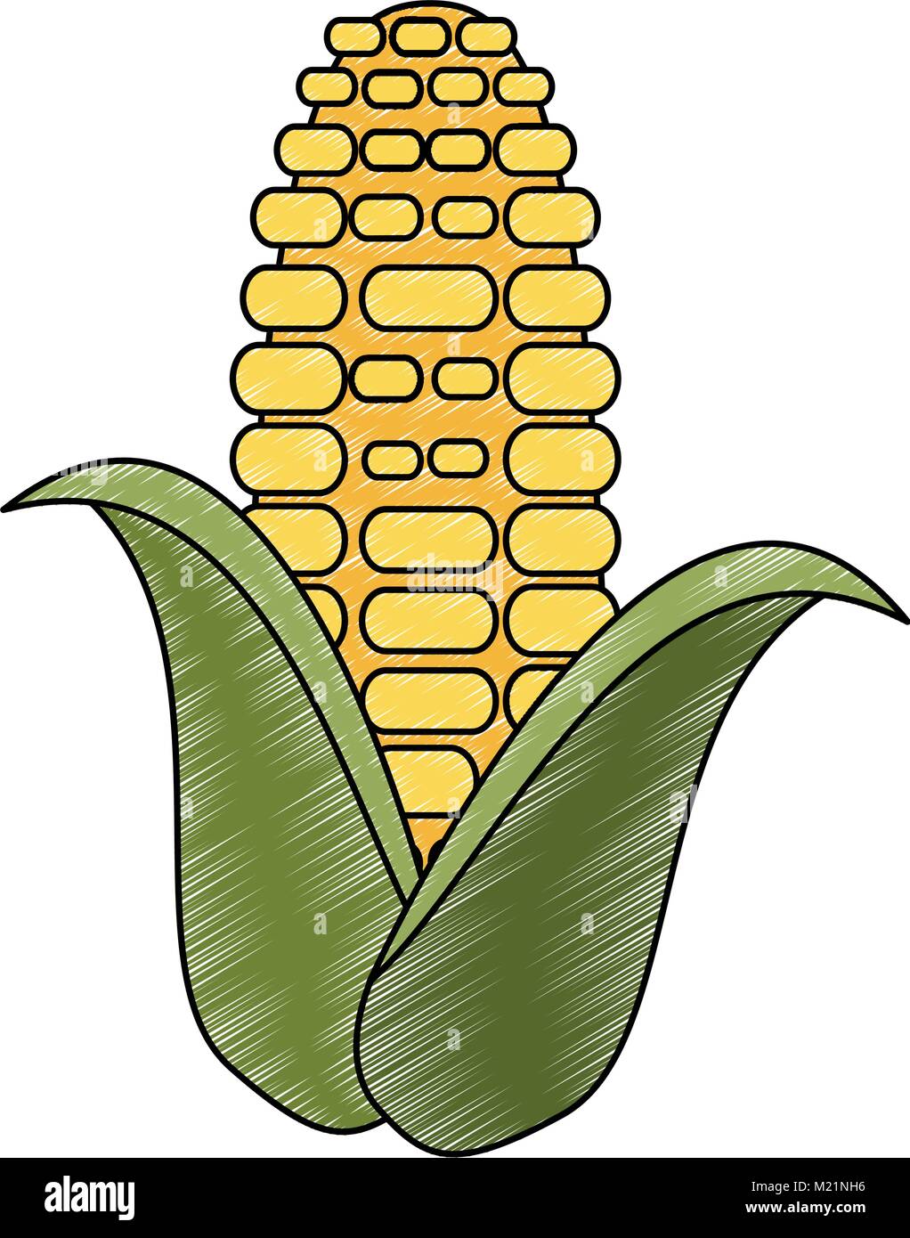 Corn food isolated Stock Vector Image & Art - Alamy