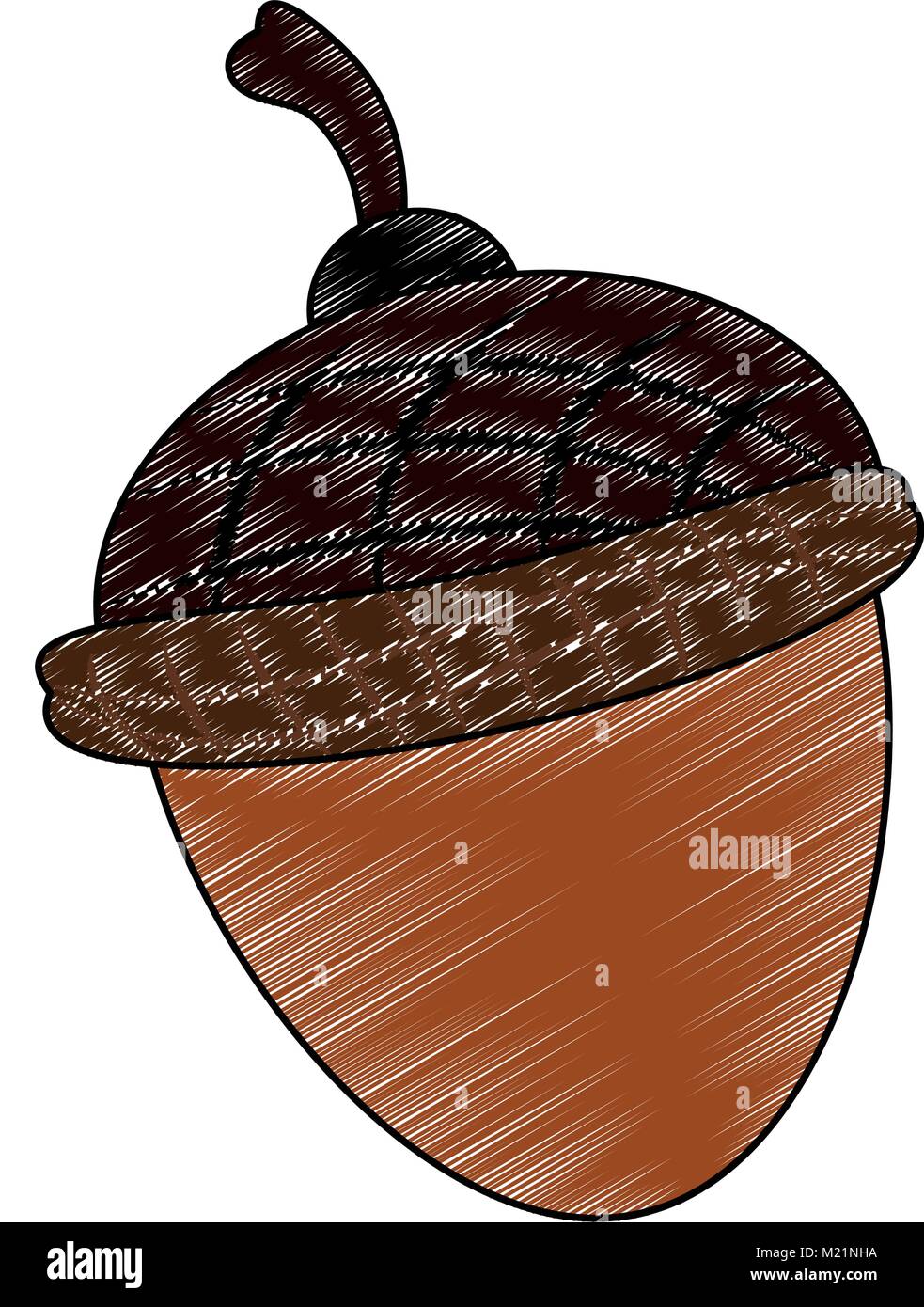 Nut cartoon isolated Stock Vector Image & Art - Alamy