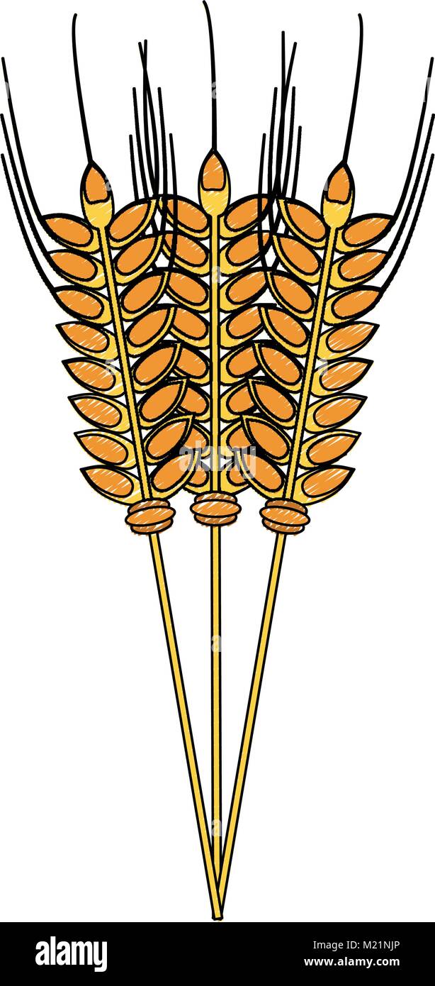 Wheat leaves symbol Stock Vector Image & Art - Alamy