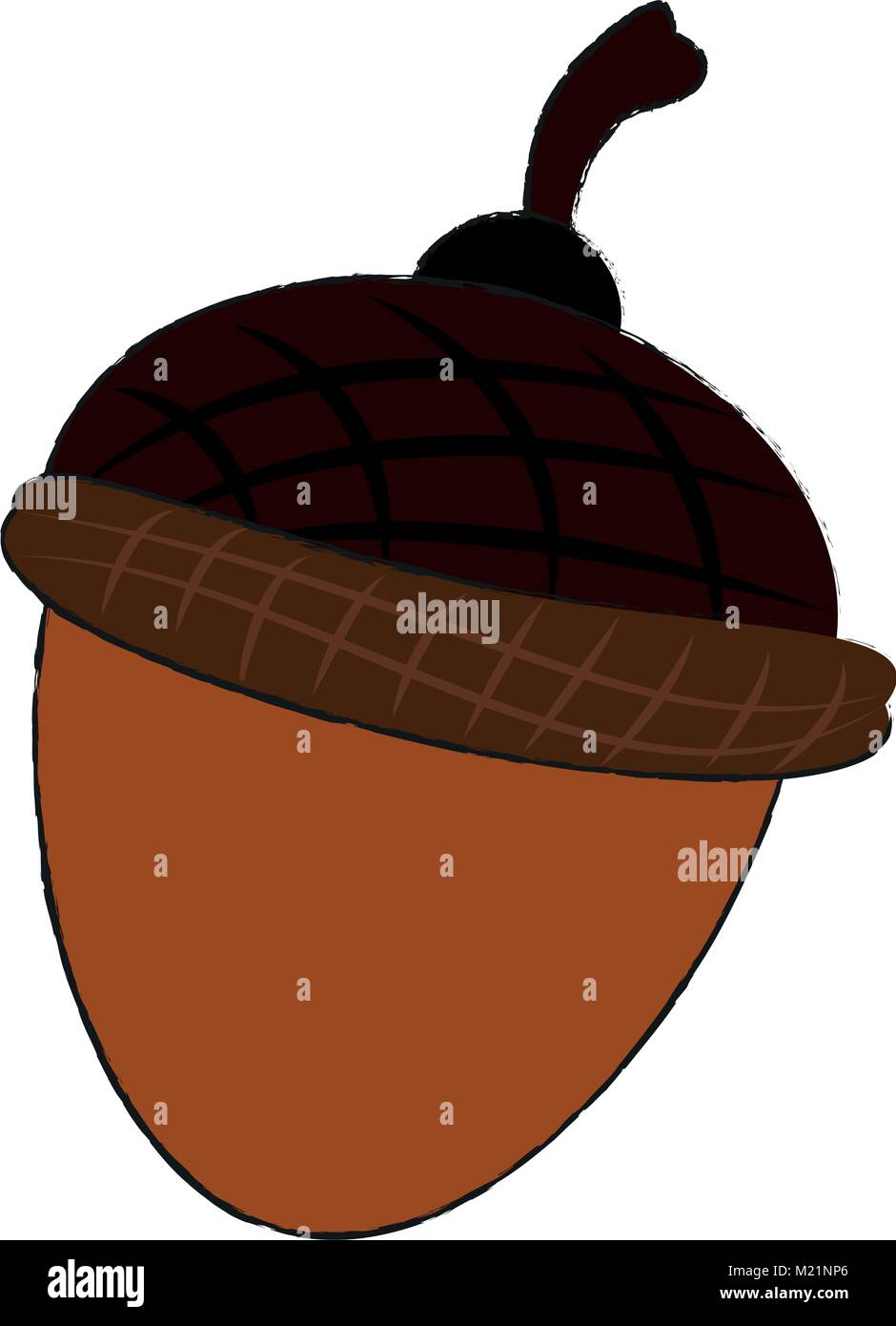 Nut cartoon isolated Stock Vector Image & Art - Alamy