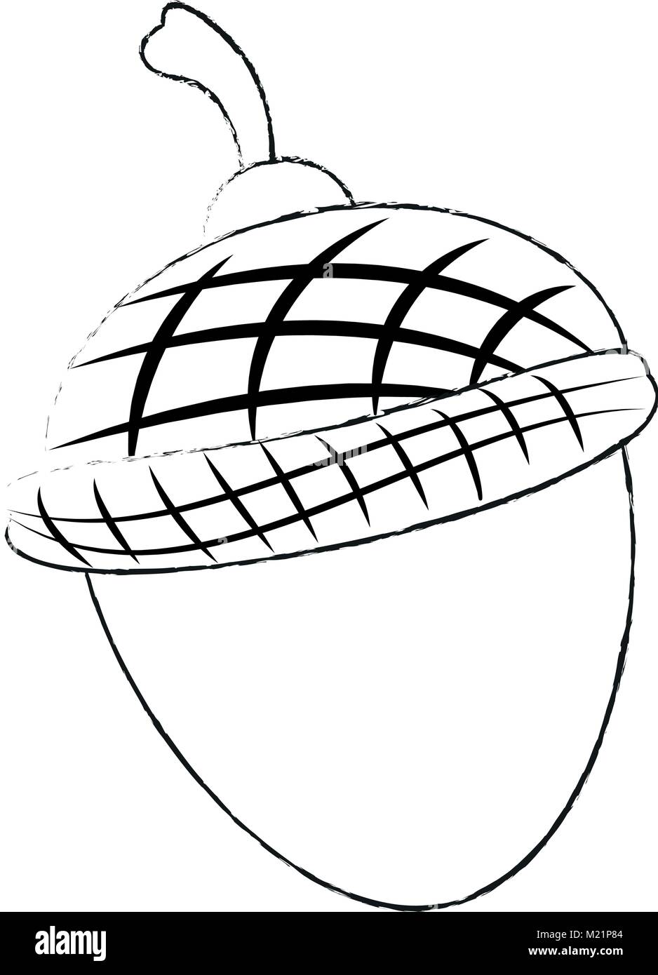 Nut cartoon isolated Stock Vector Image & Art - Alamy