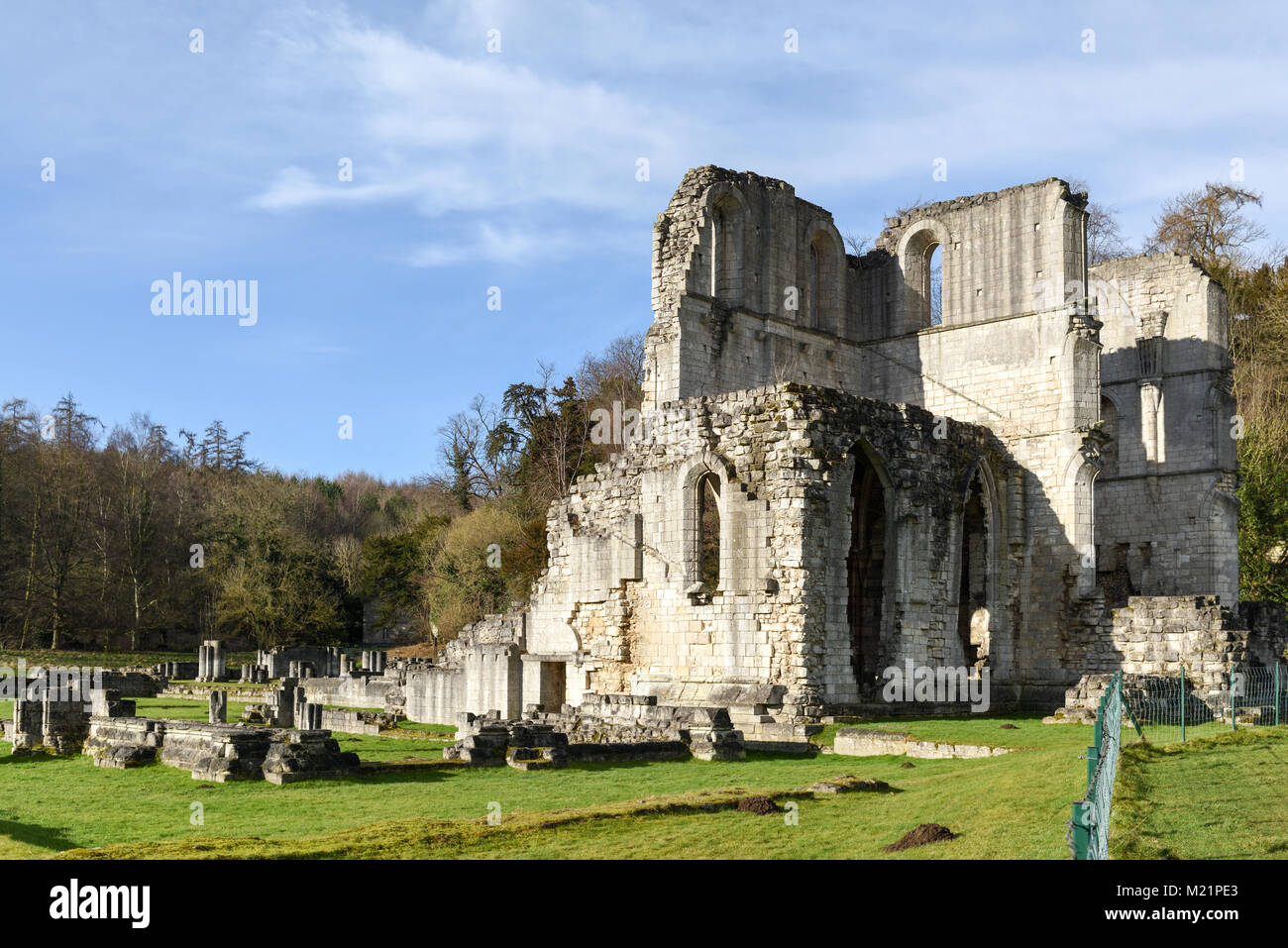 Roche Abbey Gothic remains Maltby South Yorkshire,UK Stock Photo - Alamy