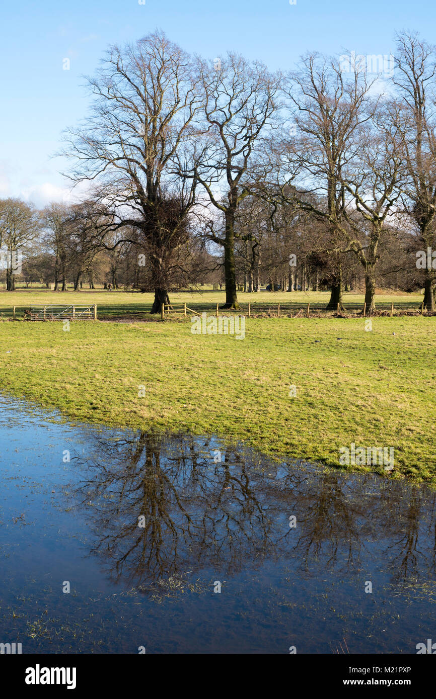 A winter view of Rickerby Park in Carlisle, England, UK Stock Photo - Alamy