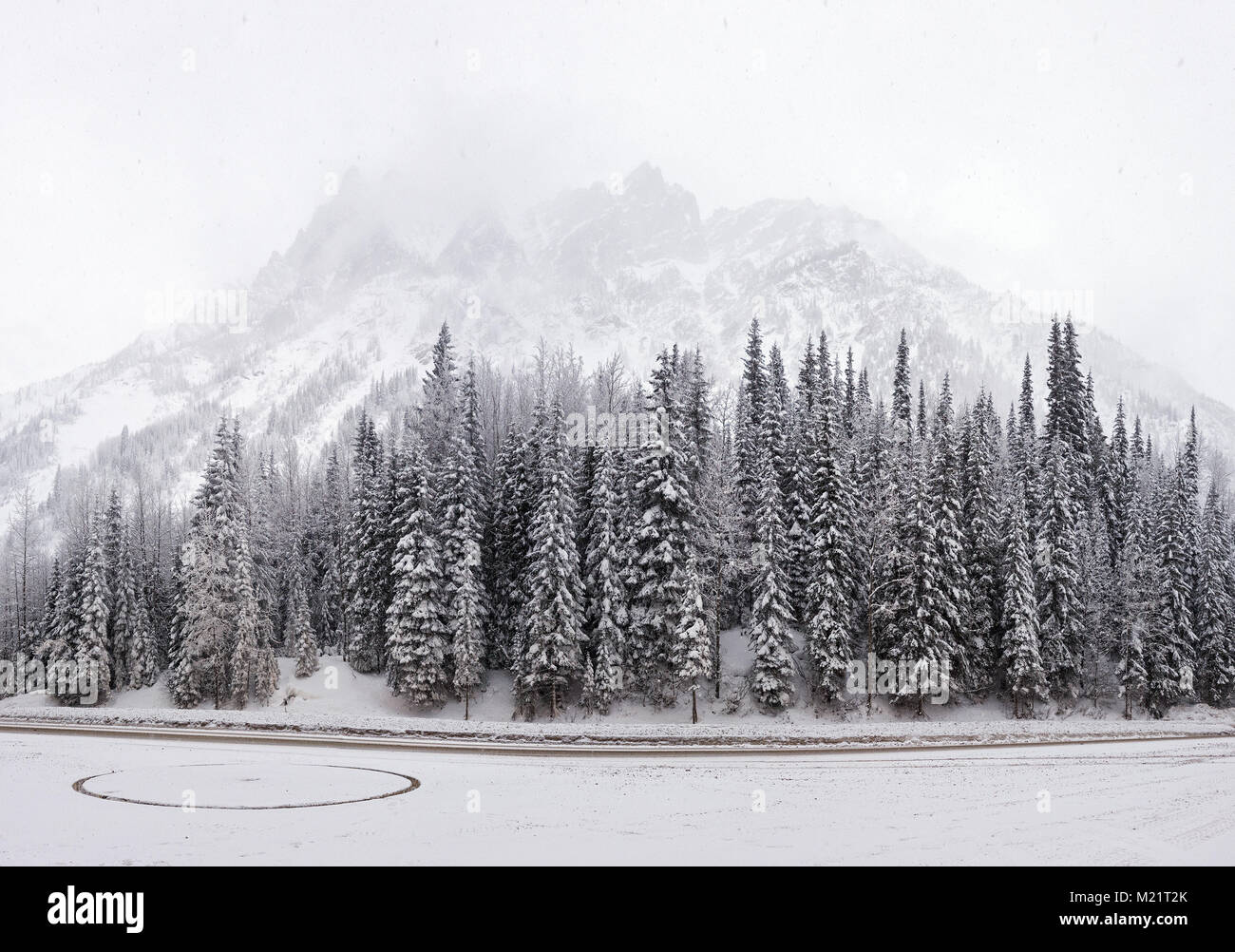 Severe winter weather, limited visibility and snow covered road at the ...