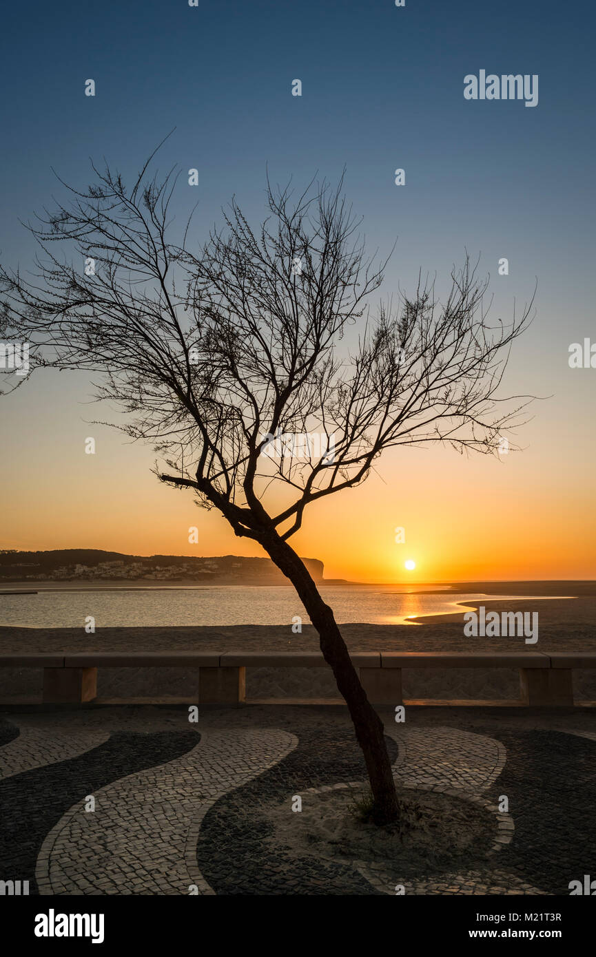 Water promanade hi-res stock photography and images - Alamy