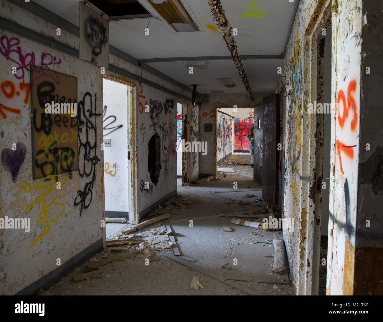Kings Park Asylum. New York City. US Stock Photo - Alamy