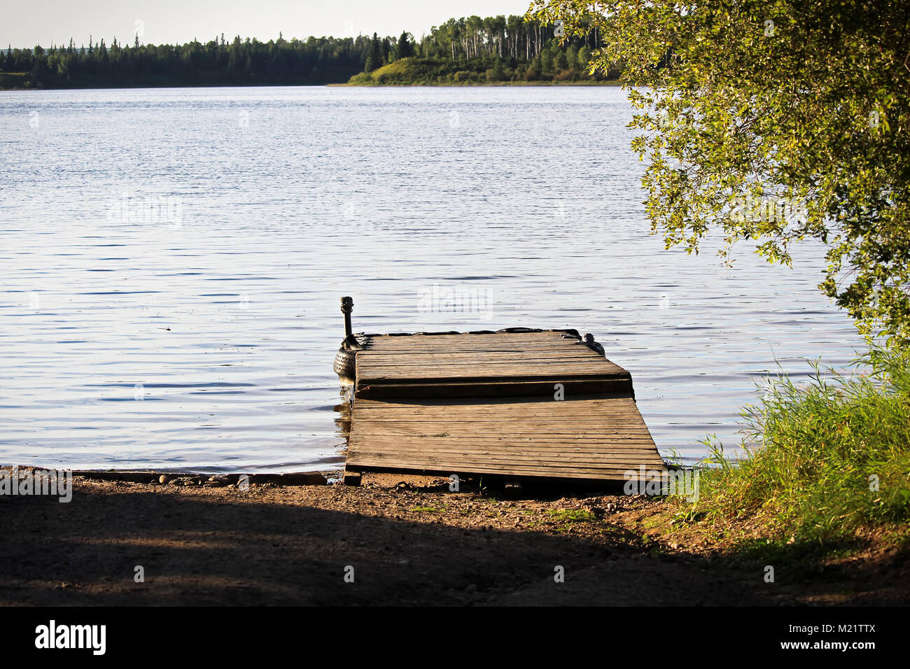 A boat dock at a quiet summer lake Stock Photo - Alamy