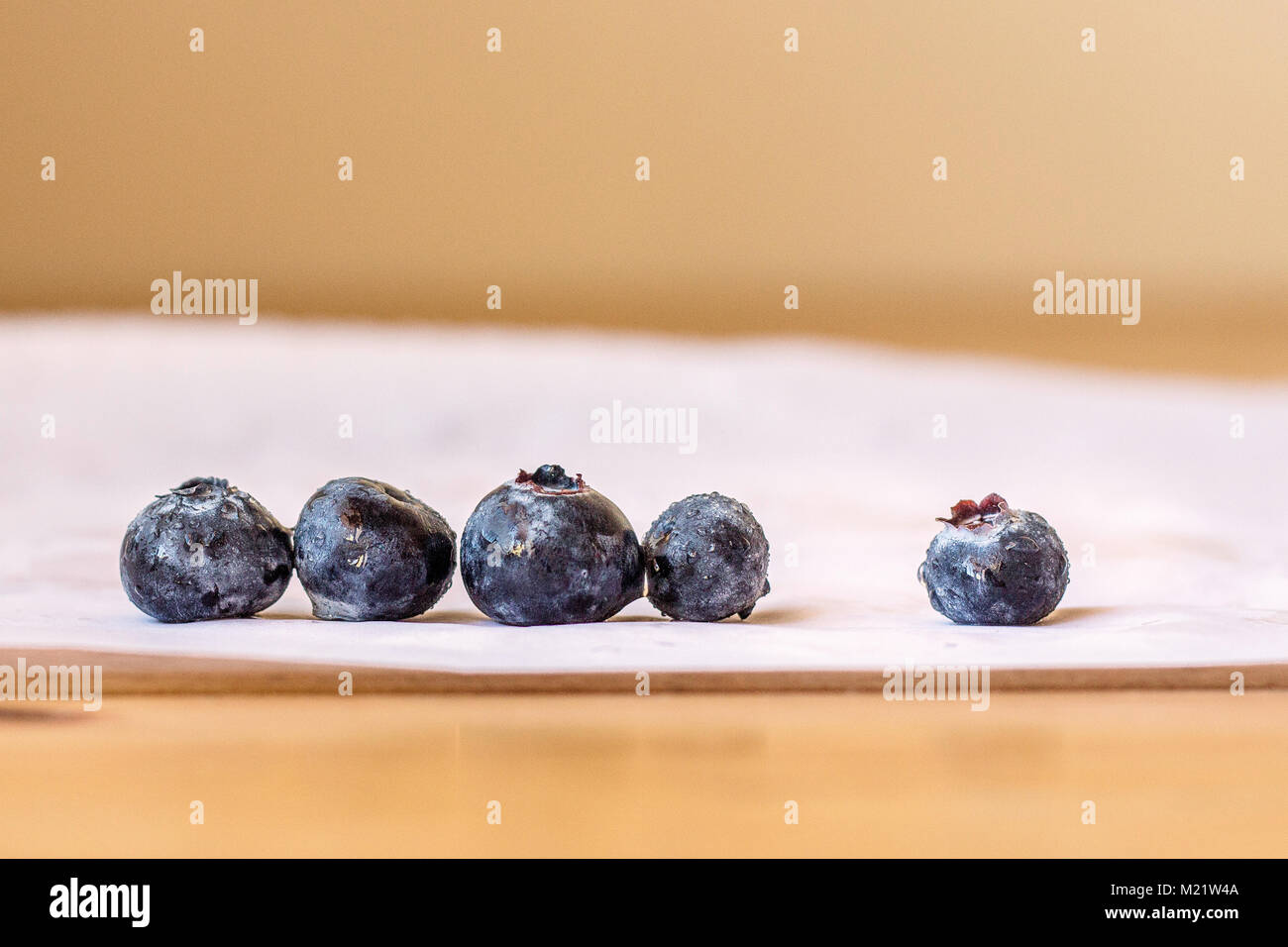 Order of the round table hi-res stock photography and images - Alamy