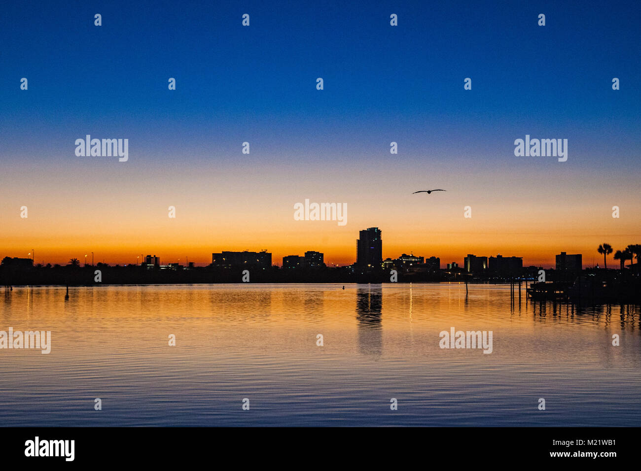 Clearwater bay hi-res stock photography and images - Alamy