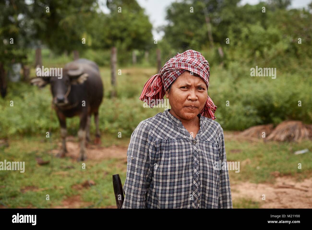 Cambodian farmer woman and buffalo, Krakor, Cambodia Stock Photo - Alamy