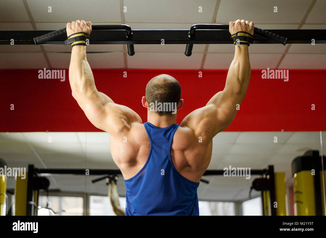 Back view of strong male athlete with perfect muscles training, doing ...