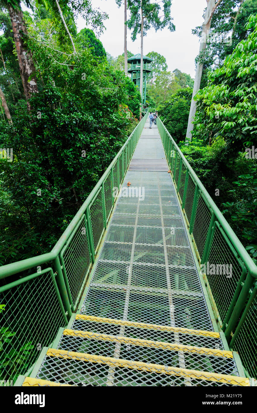 Canopy walkway in Sepilok, Borneo, Malaysia Stock Photo - Alamy