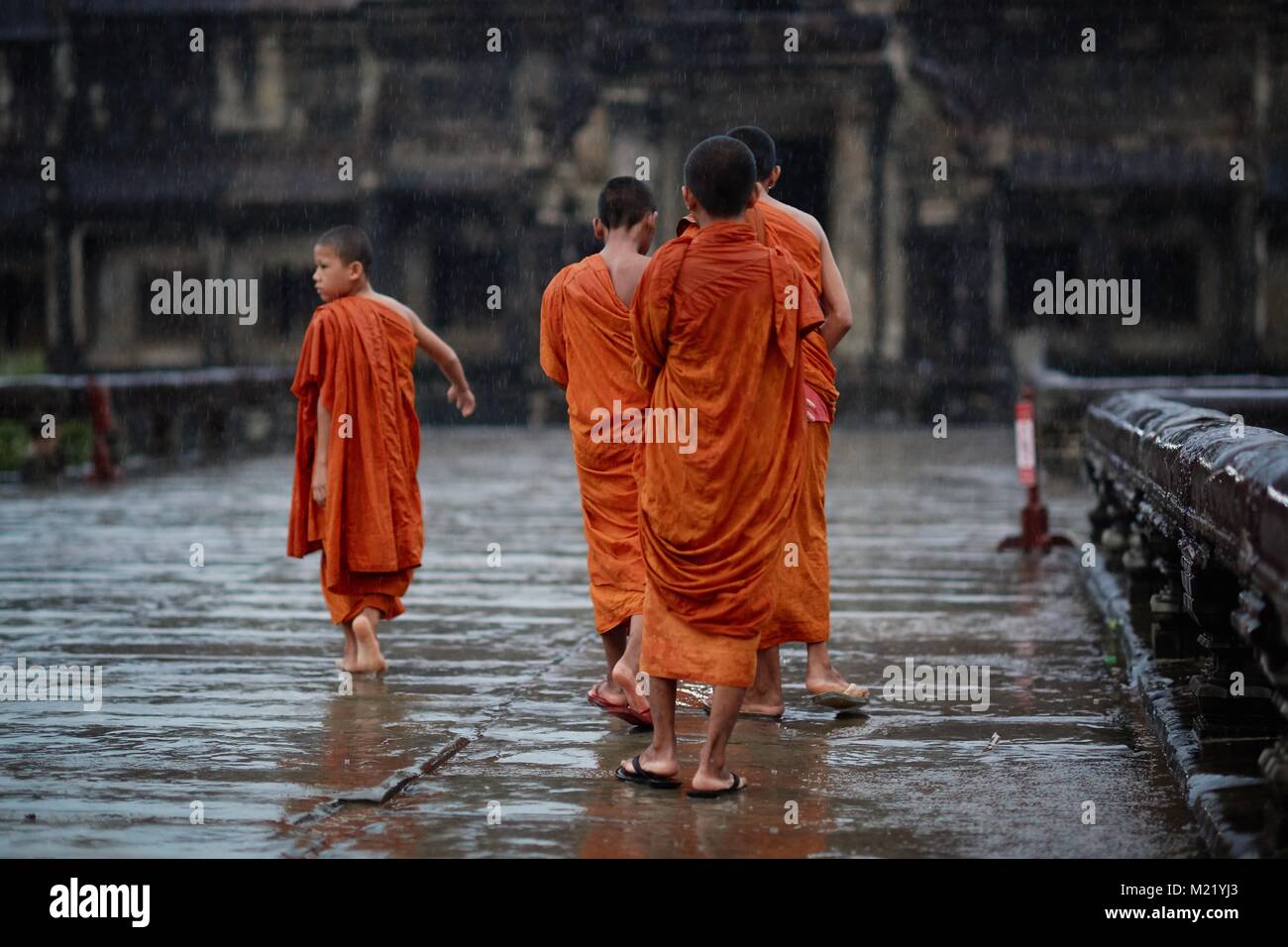 Young monks, Angkor Wat, Angkor, Cambodia Stock Photo - Alamy