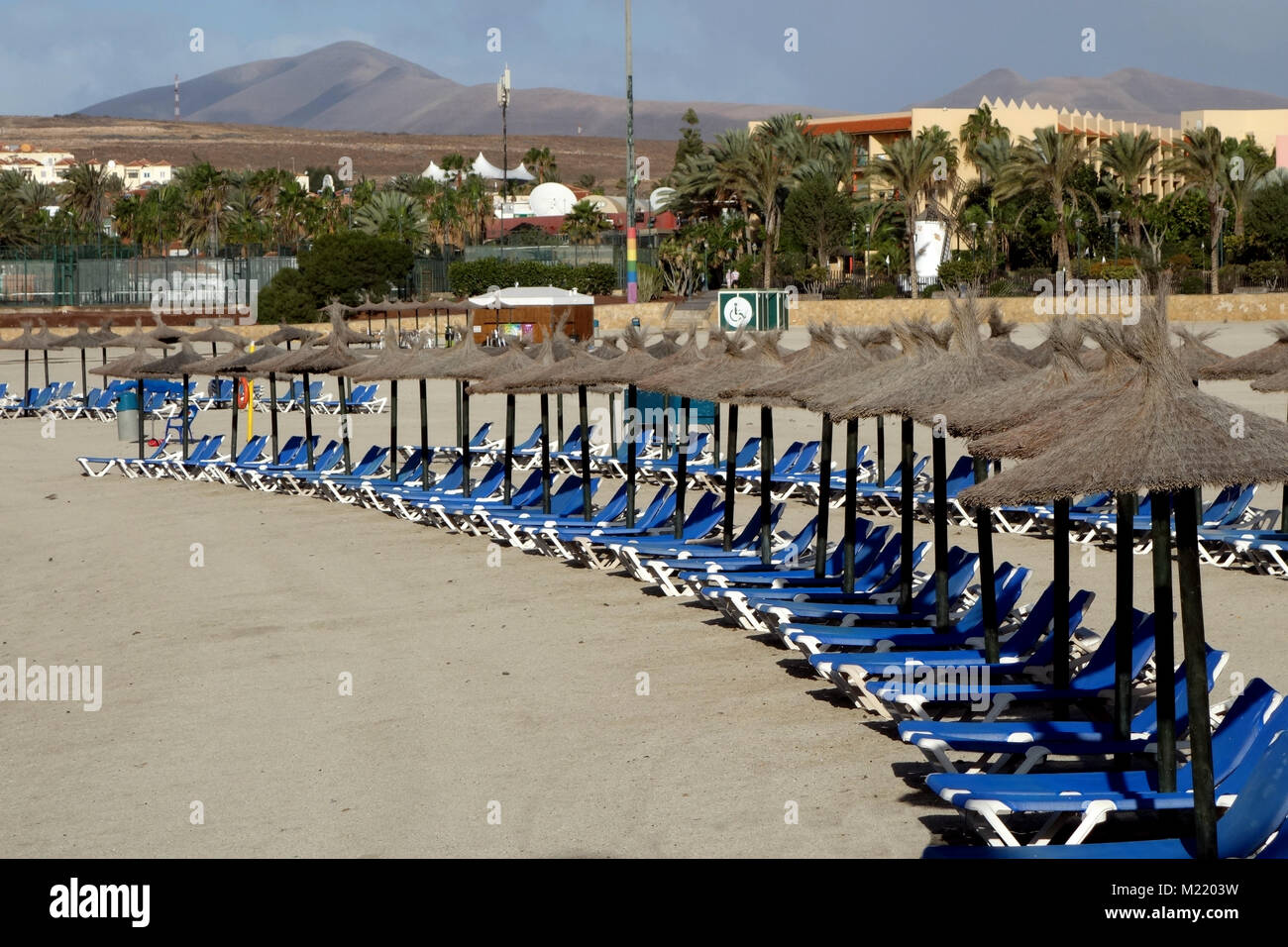 Empty Sunbeds on Costa Caleta de Fuste Beach on Fuerteventura in the ...