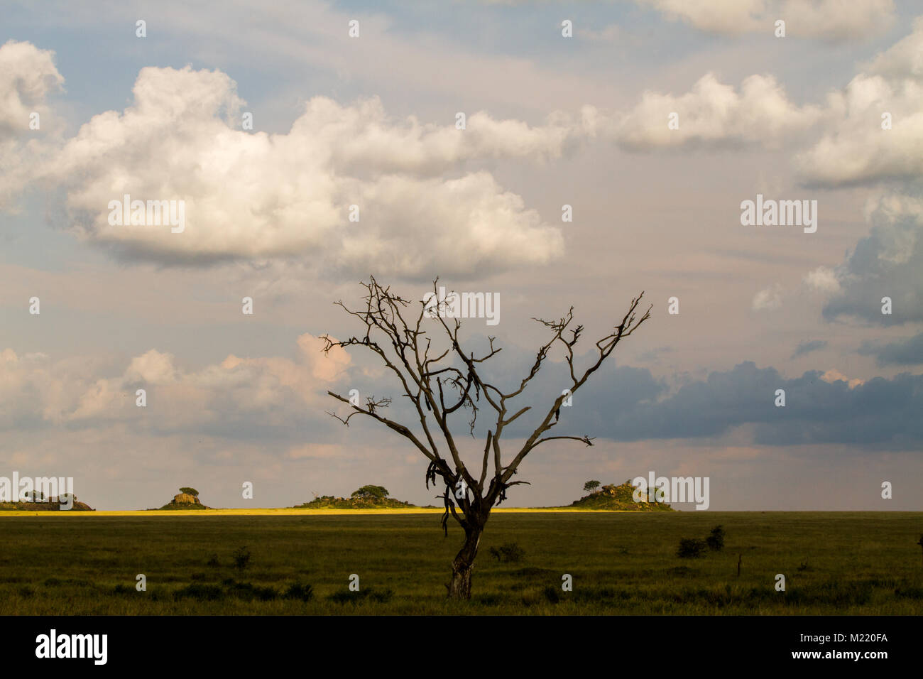 Serengeti National Park, Tanzanian national park in the Serengeti ...
