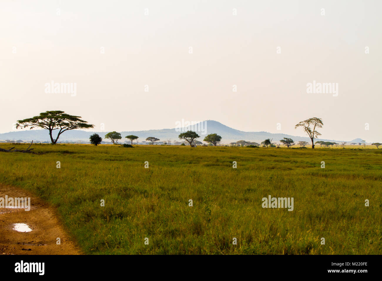 Serengeti National Park, Tanzanian national park in the Serengeti ...