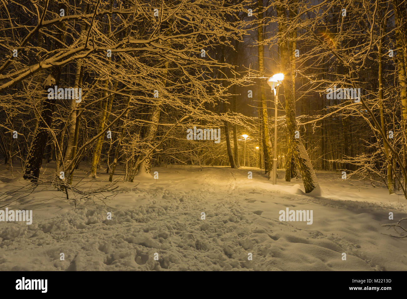 Path in a forest park filled up with snow and illuminated by ...