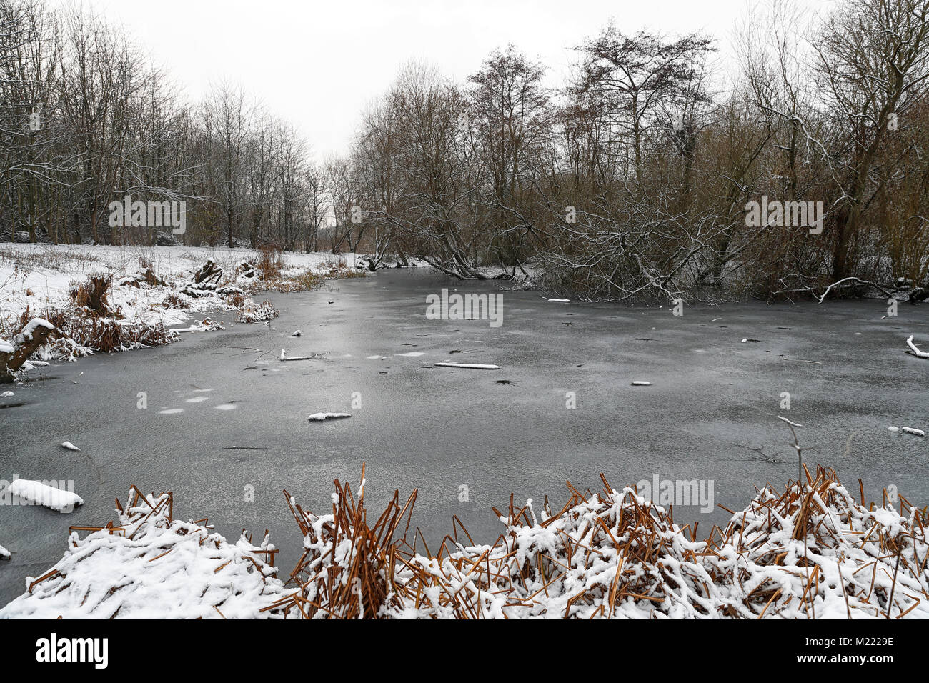 Gallows Hill nature reserve Otley West Yorkshire showing the frozen ...