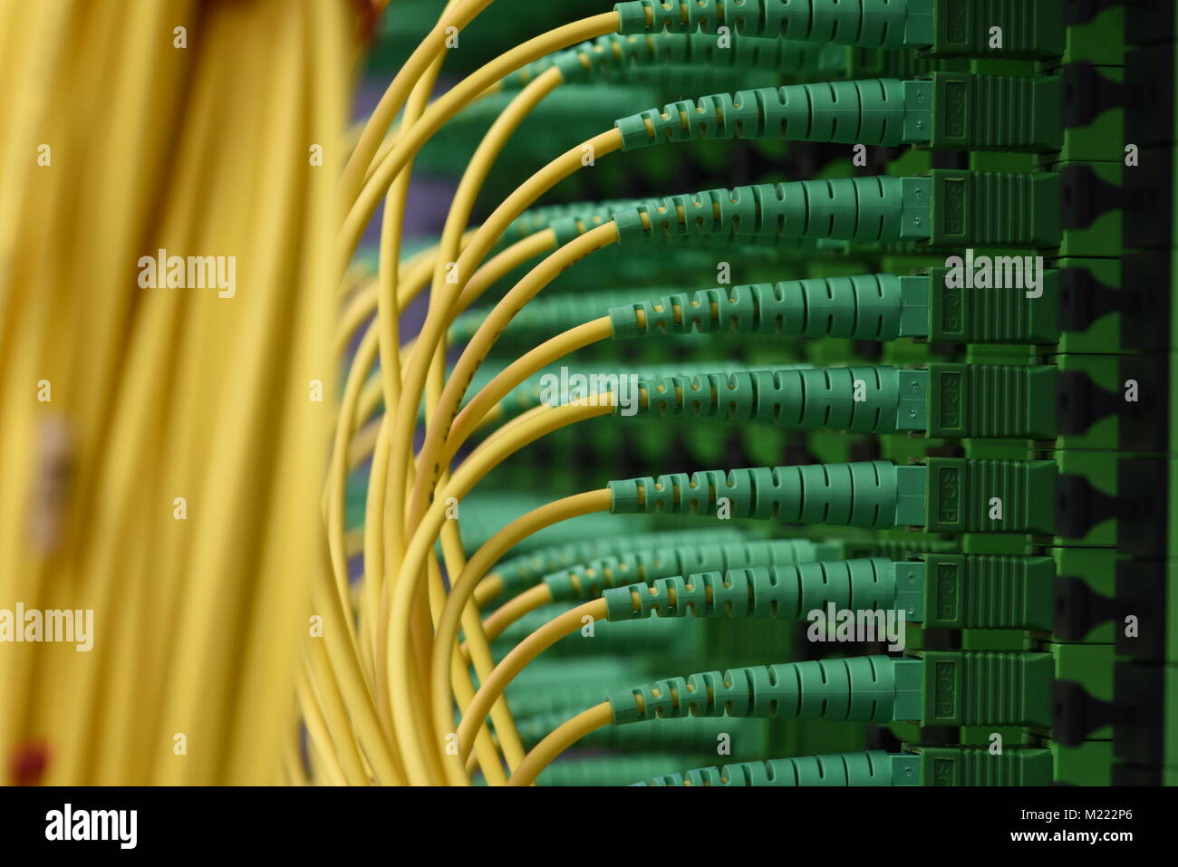 Fiber optical cables with connectors type SC-APC single mode in data ...