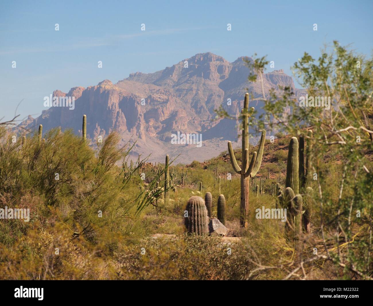 Arizona desert scenes in and around Superstition Mountain, Arizona ...