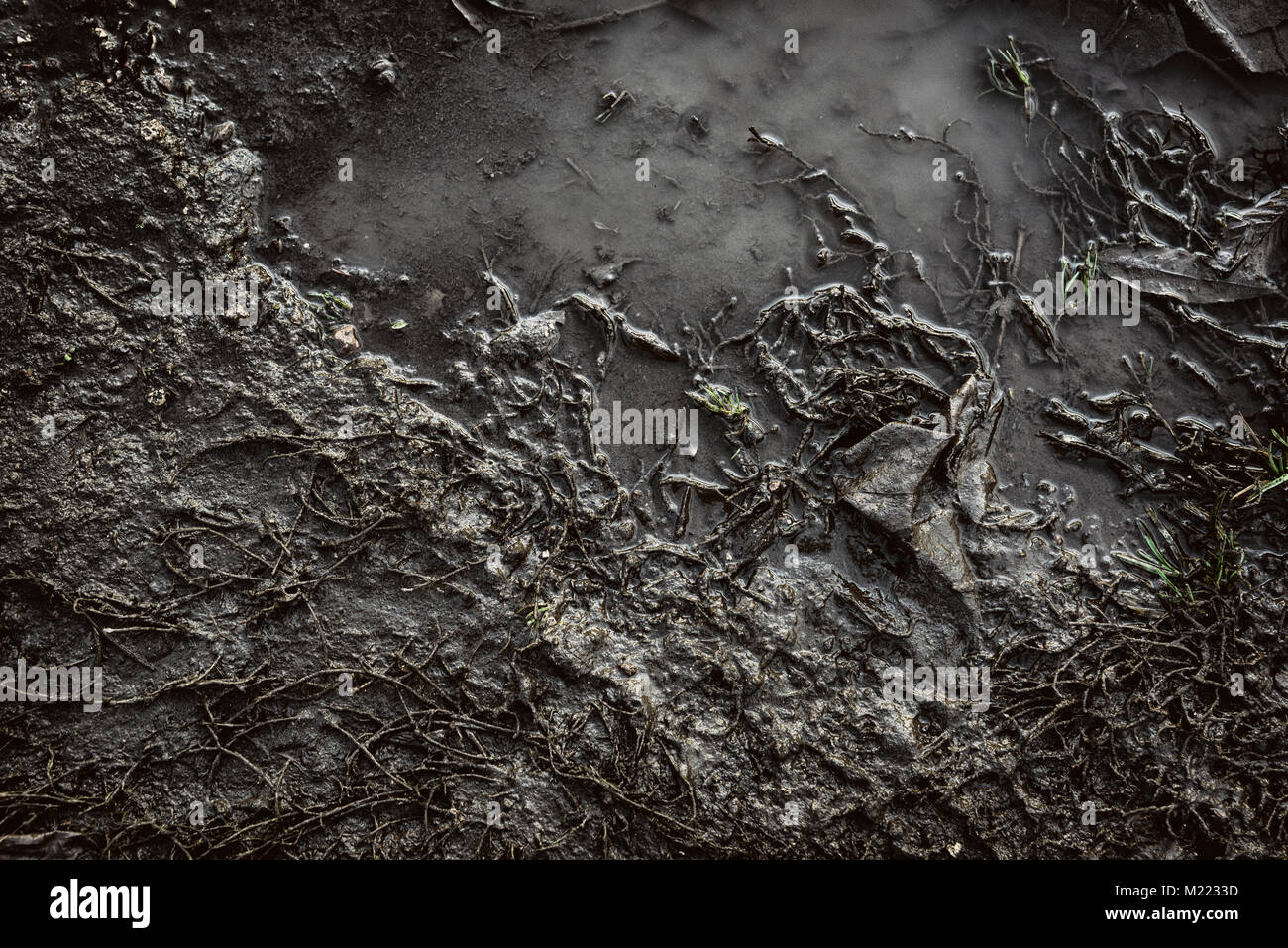 Imaginary landscape.Abstract bottom of texture of mud Stock Photo - Alamy
