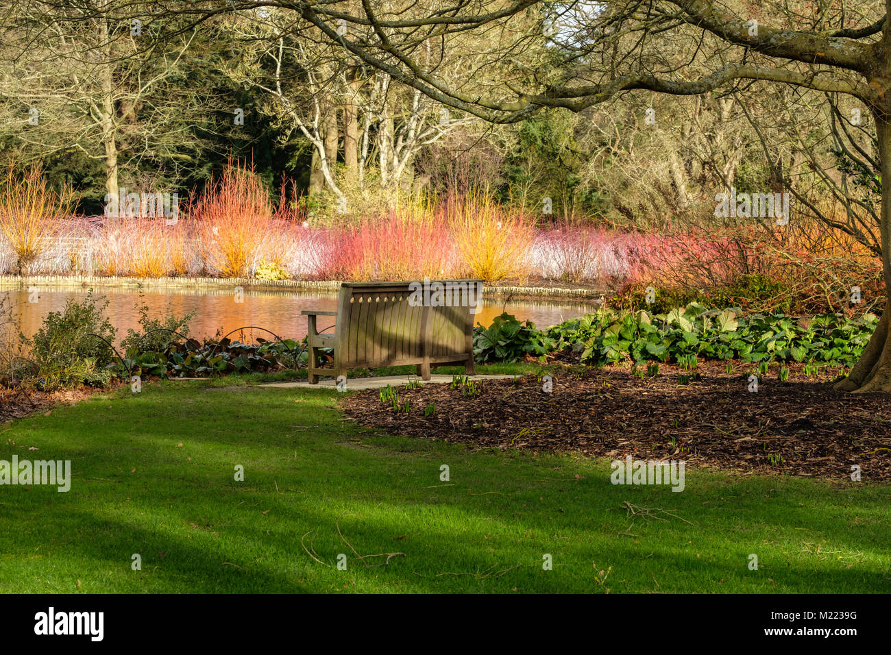 A bench overlooking Seven Acres Pond Stock Photo - Alamy