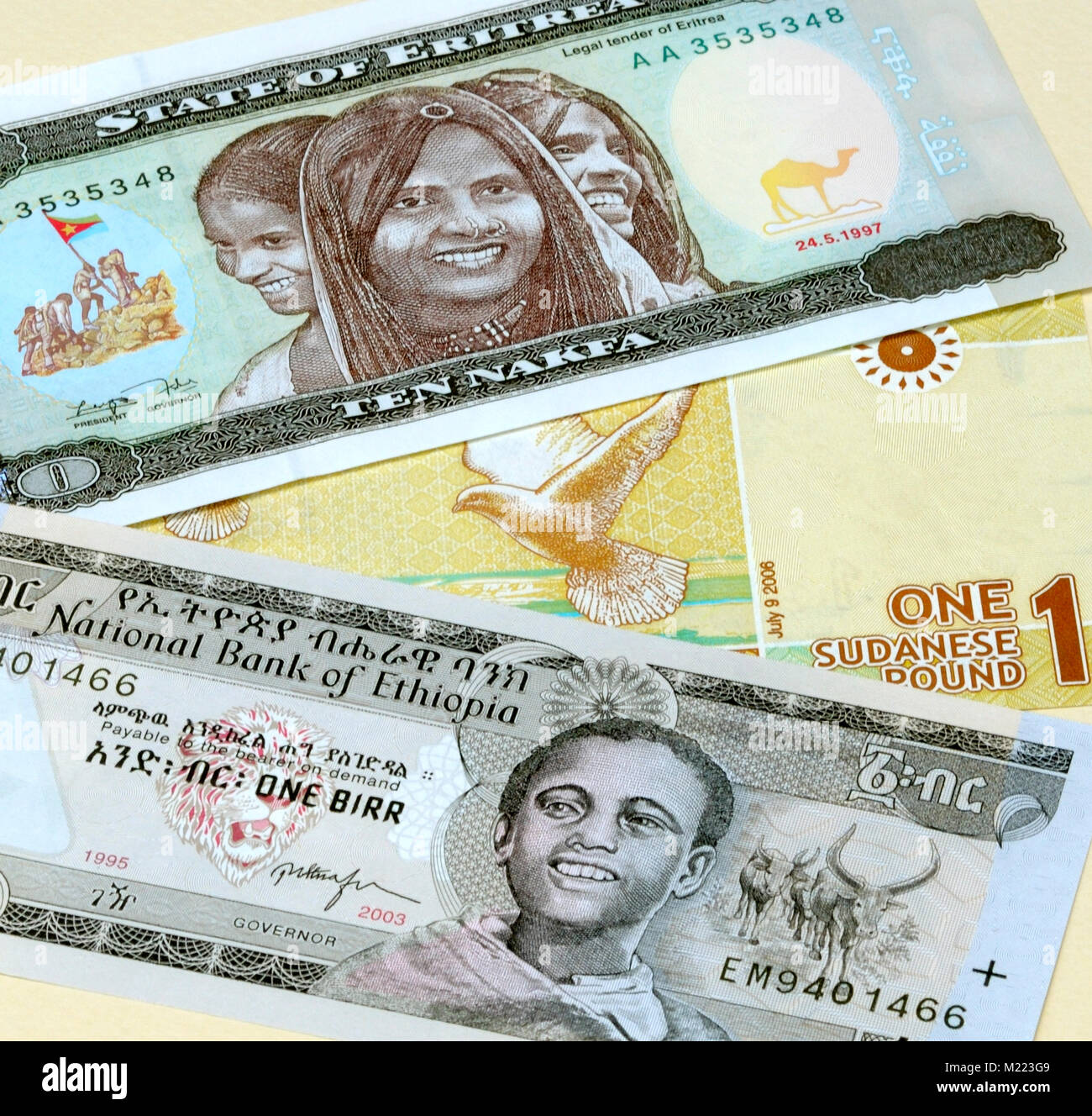 East Africa Currency Bank Notes Stock Photo - Alamy