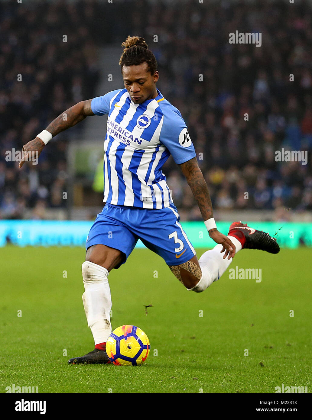 Brighton & Hove Albion's Gaetan Bong in action during the Premier ...