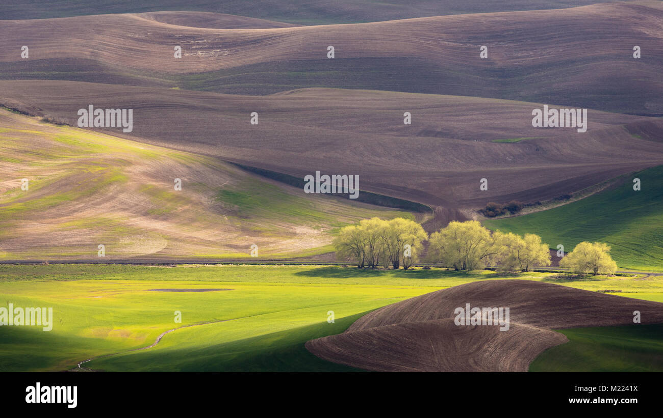 Palouse region eastern hi-res stock photography and images - Alamy