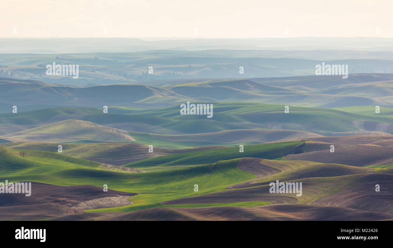 Palouse Rolling Hills in Haze, Washington Stock Photo - Alamy