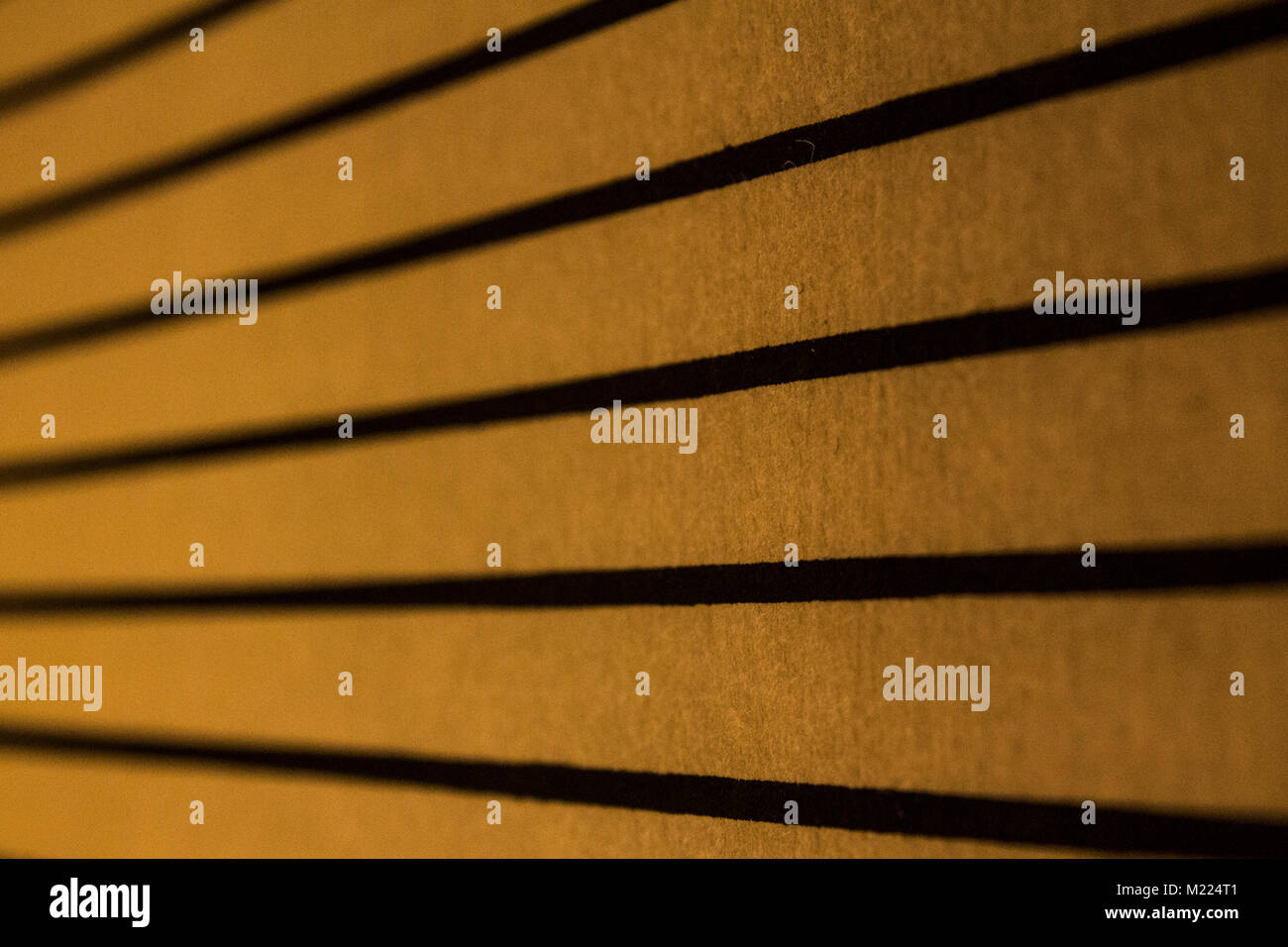 A lined sheet of yellowish-white paper shot up close in warm light, the ...