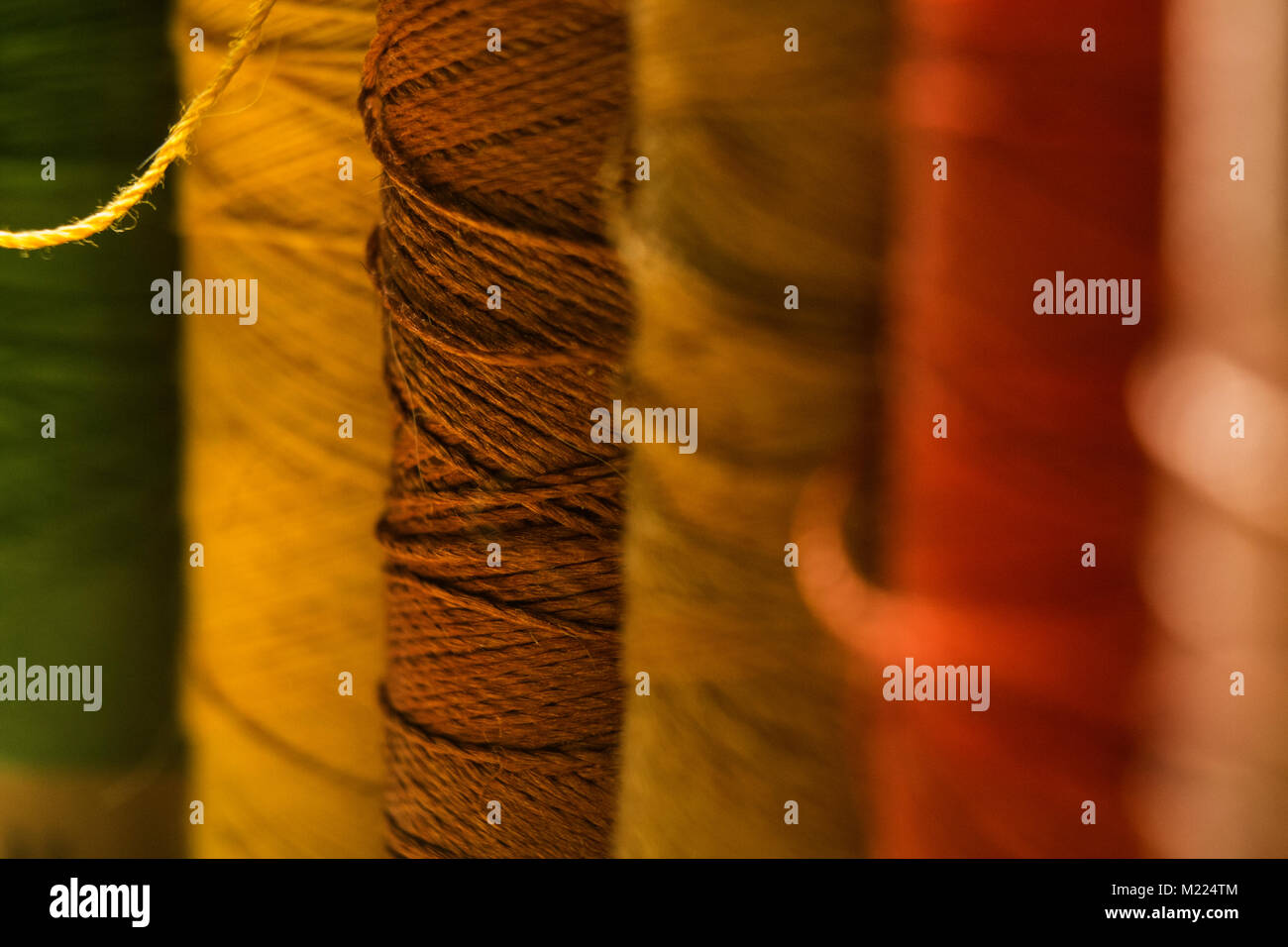 Sewing thread spools of different colors in a row. A close-up shot ...