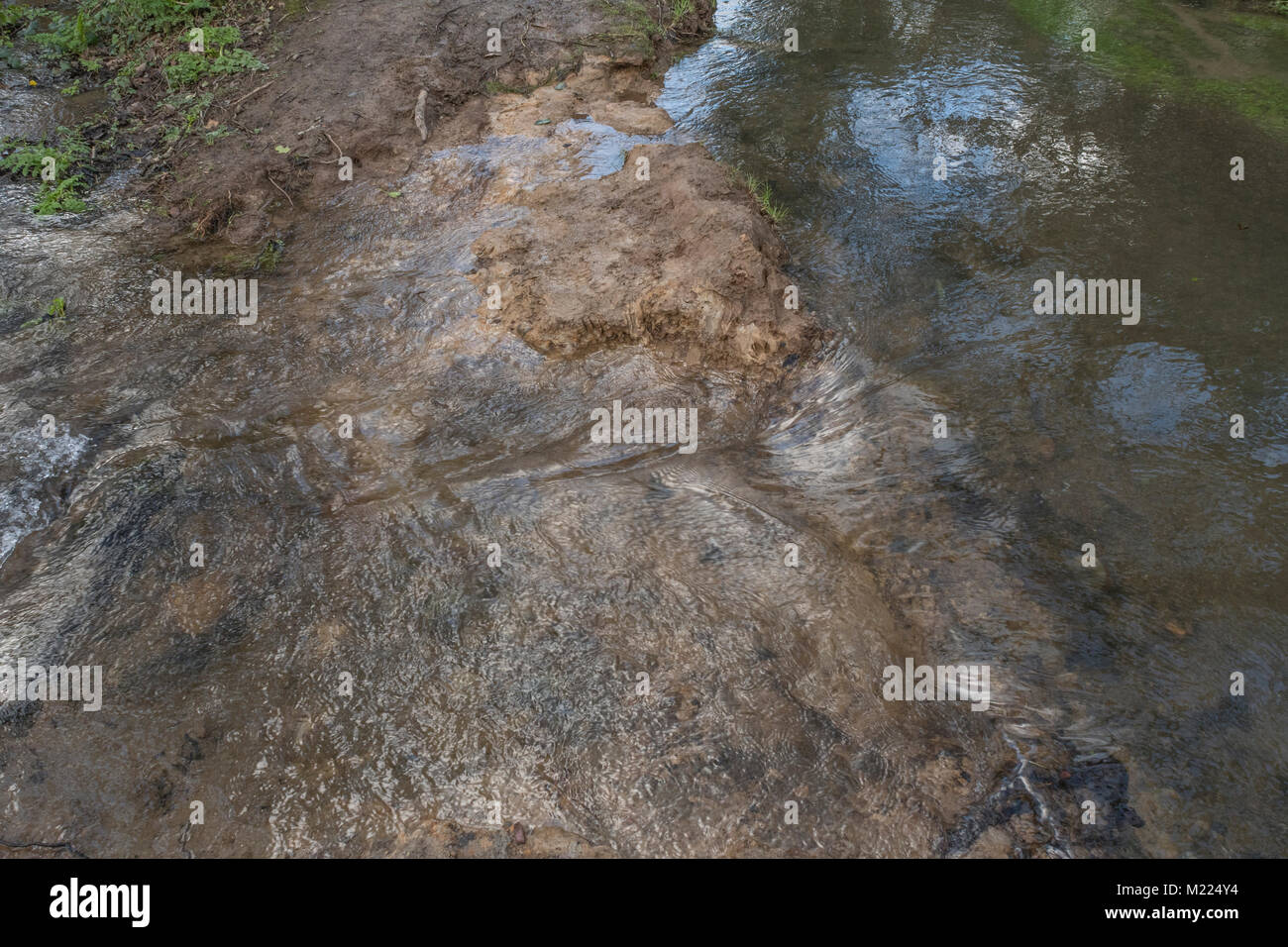 Broken flood defences of small river / large stream with seasonal ...