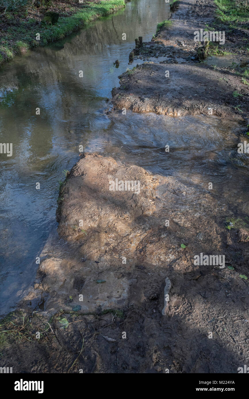 Stream bank erosion control hi-res stock photography and images - Alamy