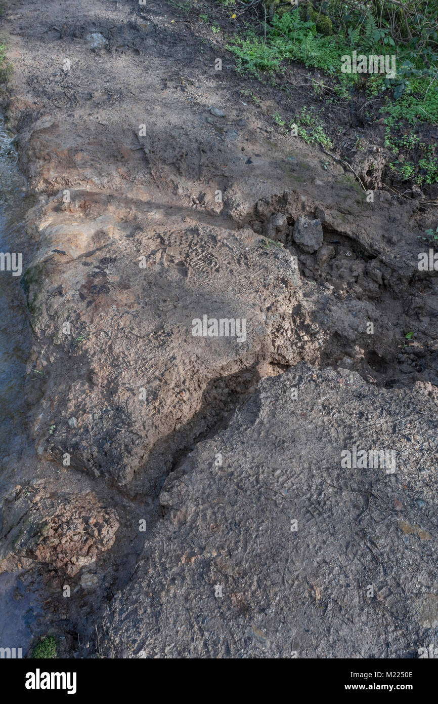 Broken flood defences of small river / large stream and seasonal winter ...