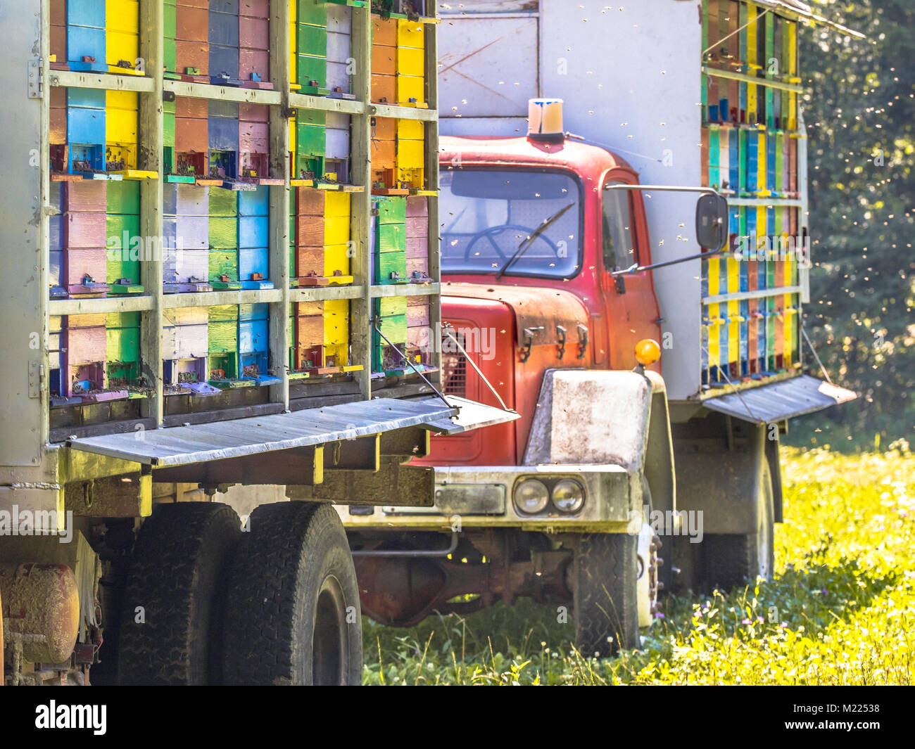 Mobile beehive hi-res stock photography and images - Alamy