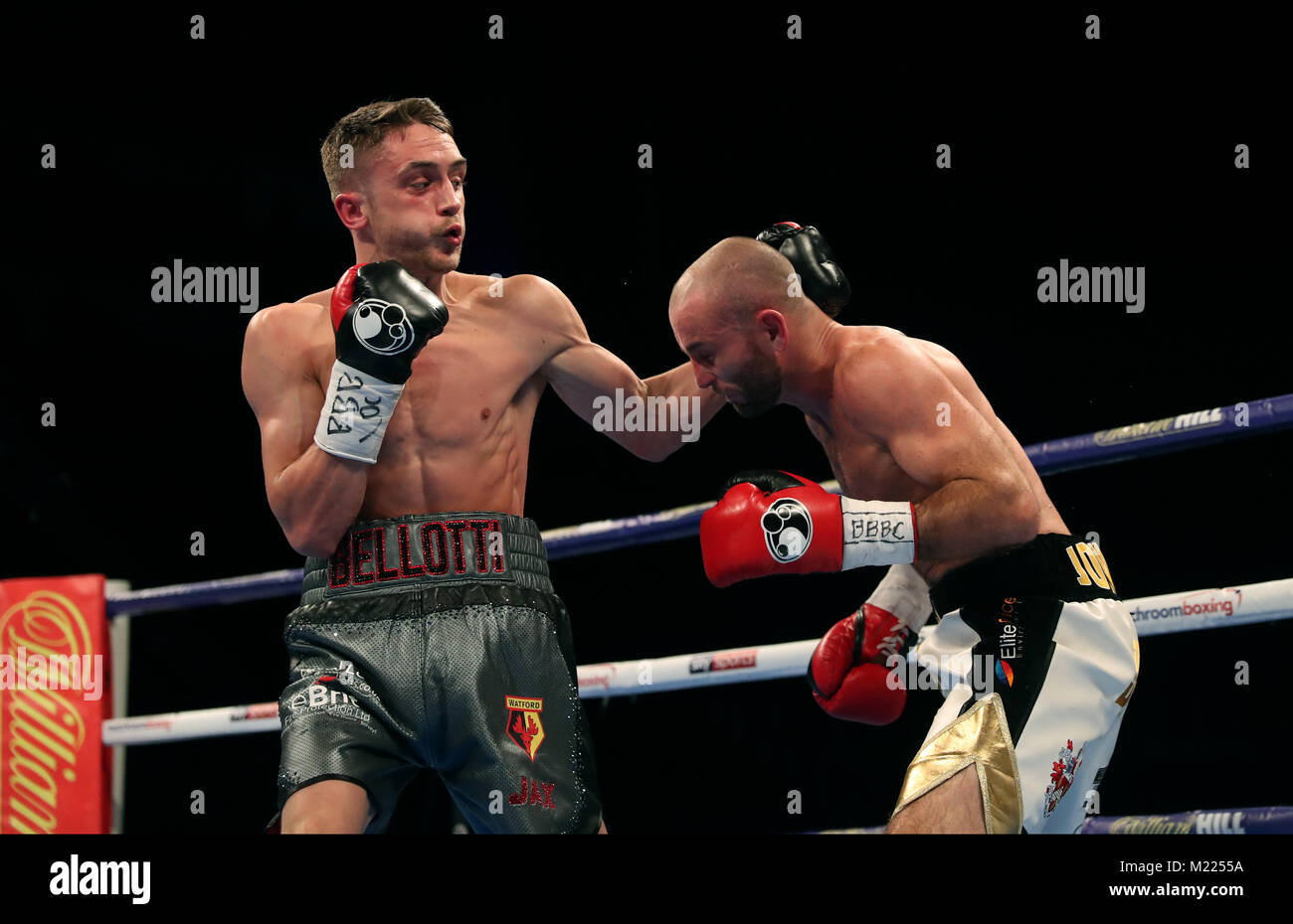 Reece belotti hi-res stock photography and images - Alamy