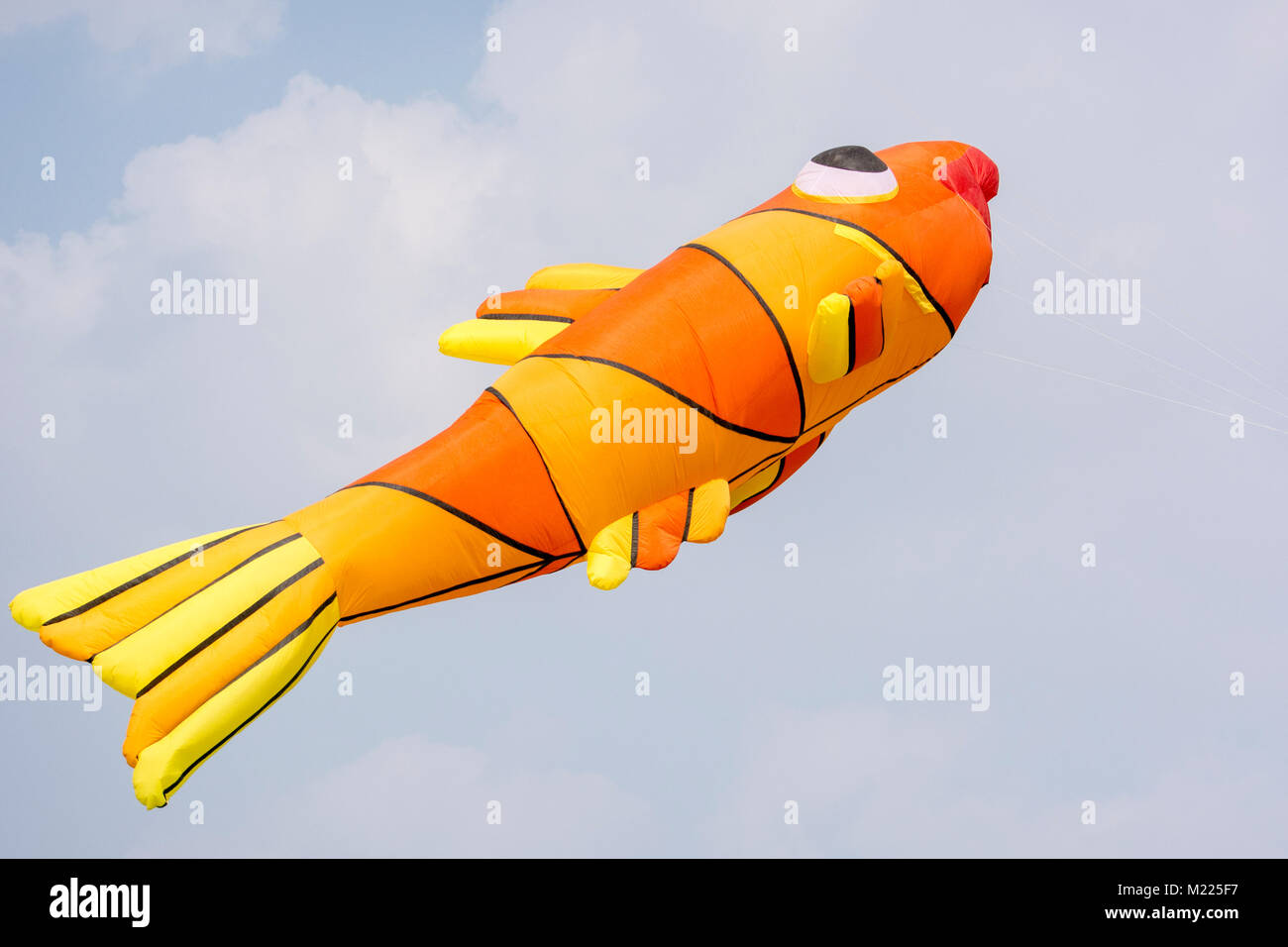 A Big Fish Kite at International Kite Festival Stock Photo - Alamy