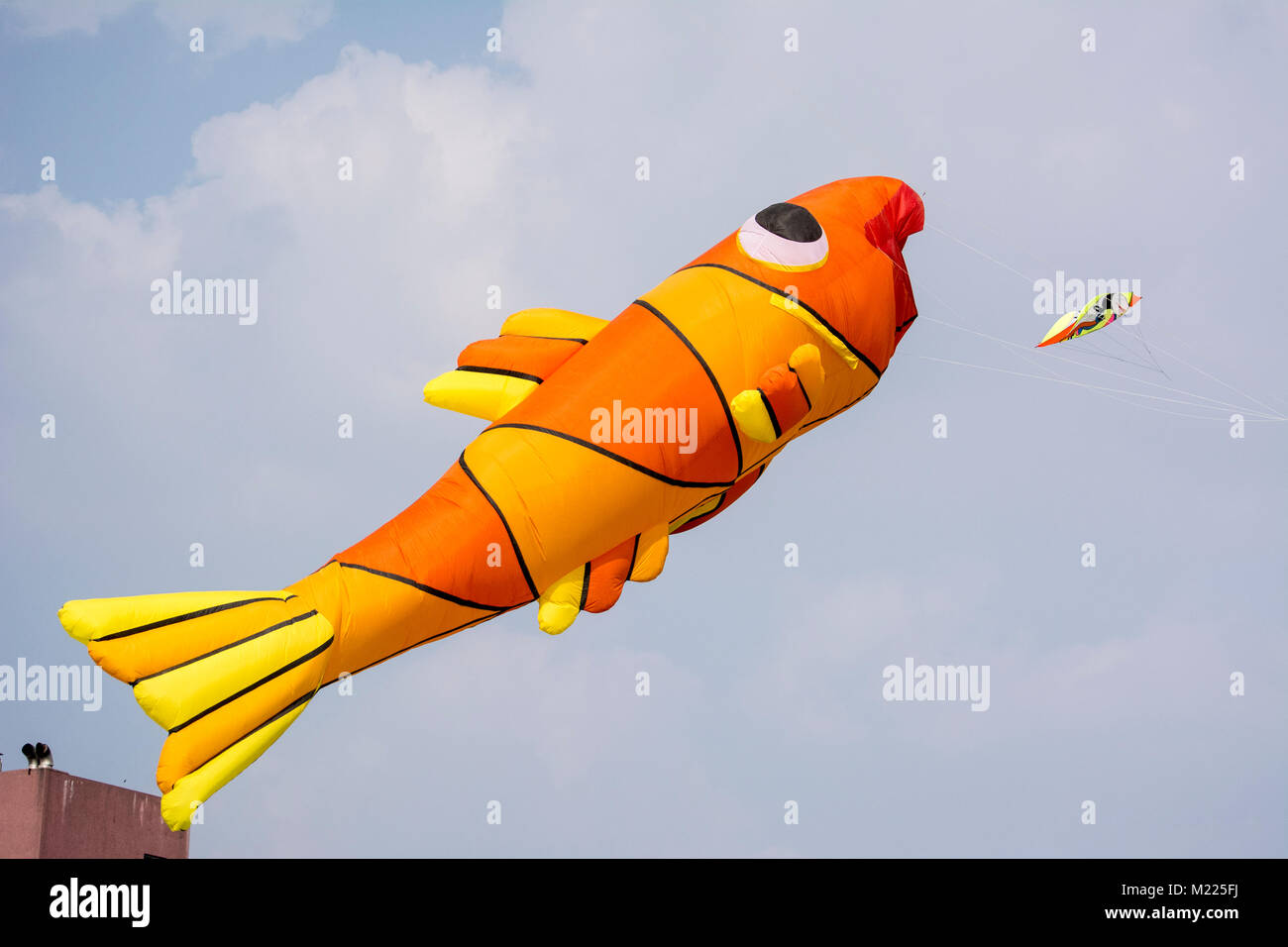 A Big Fish Kite at International Kite Festival Stock Photo - Alamy
