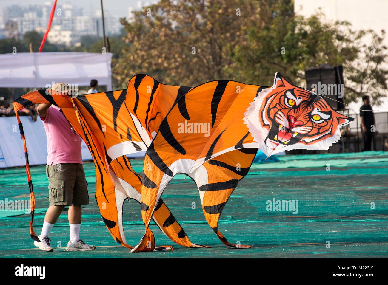 A Tiger Shaped Kite Stock Photo - Alamy