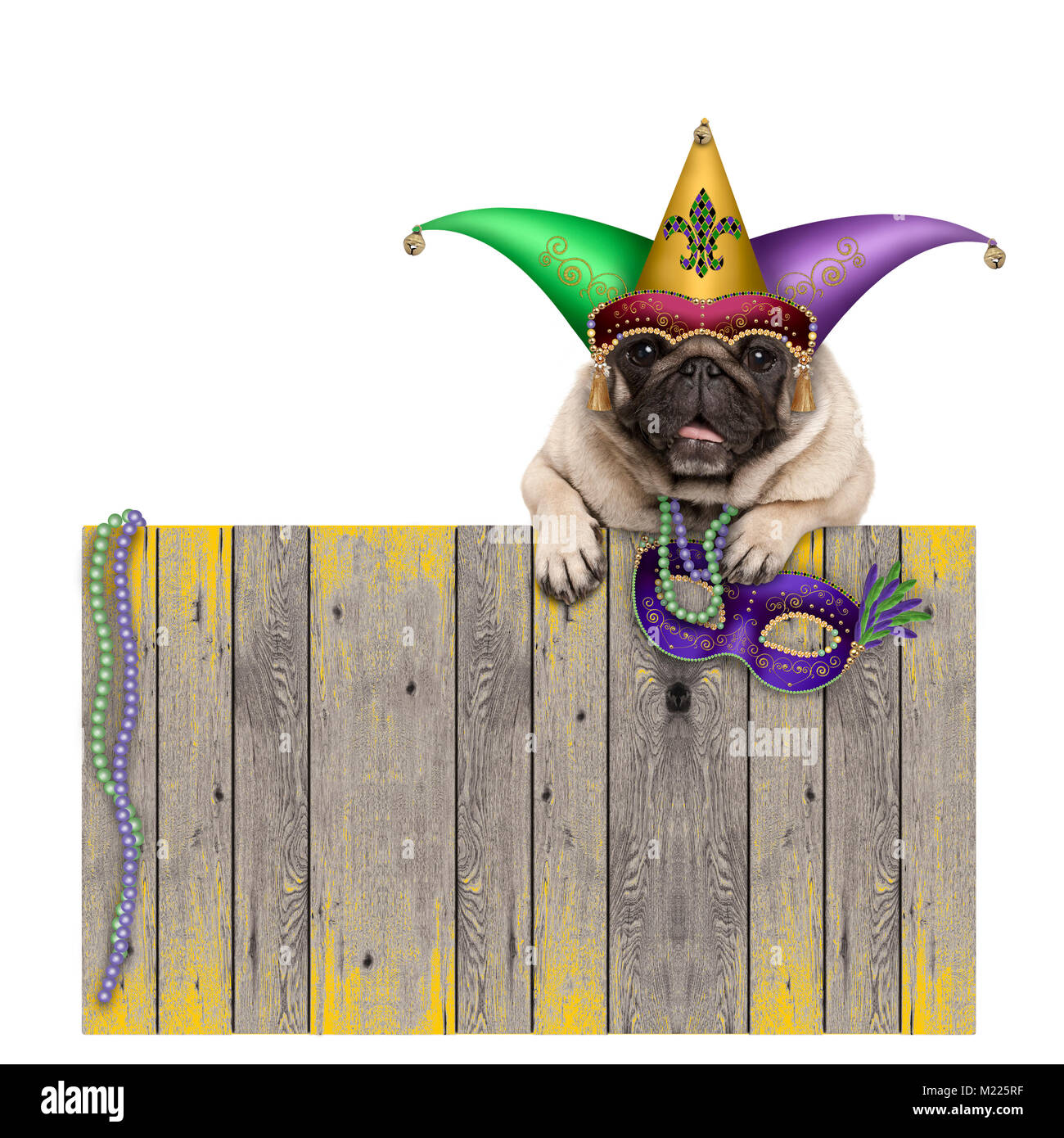 Mardi gras jester hat hi-res stock photography and images - Alamy