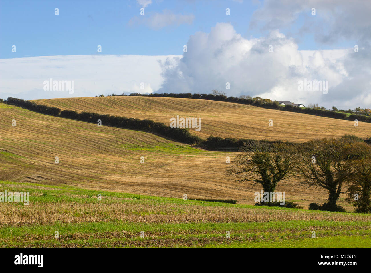 Typical undulating hills and dales of County down in northern Ireland ...